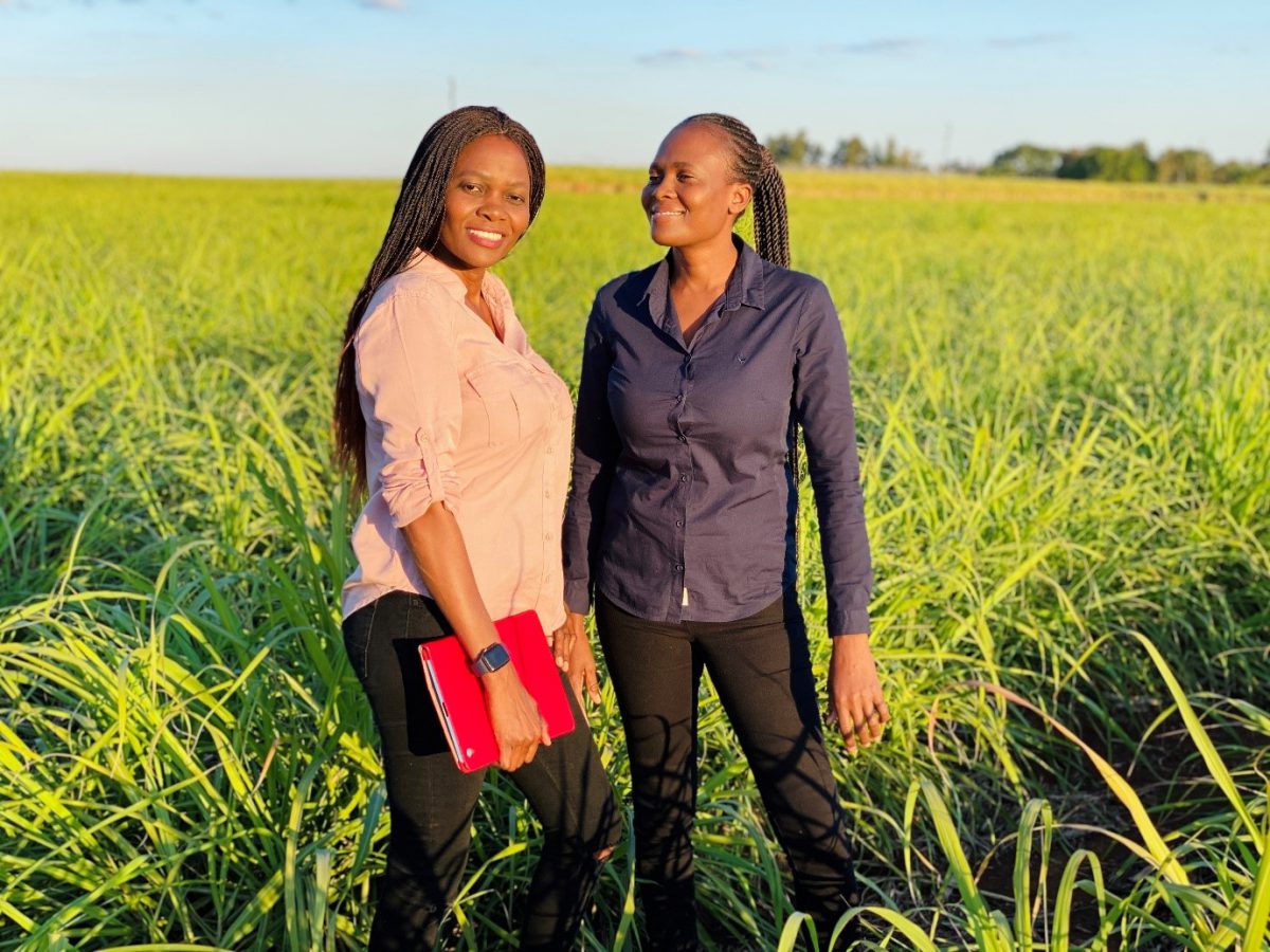 Enterprising twin sisters cut into a male-dominated field - RCL FOODS