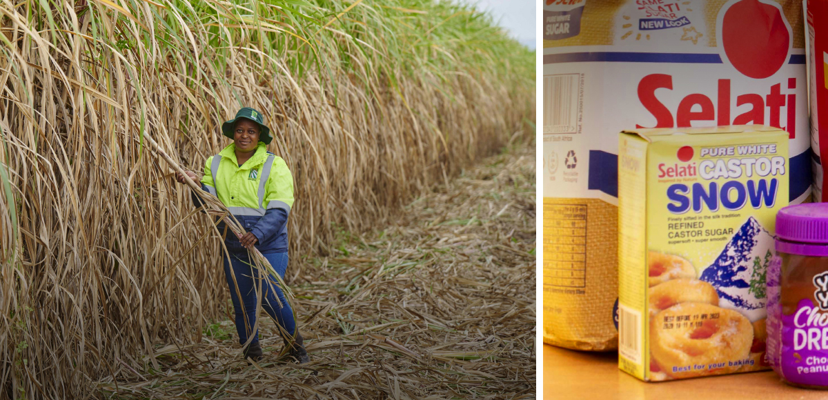 SUGAR'S SWEET SPOT - RCL FOODS